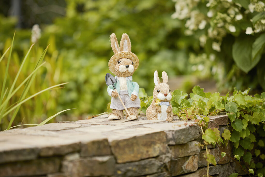 Shopping & Leisure ACT - Marketplace Gungahlin